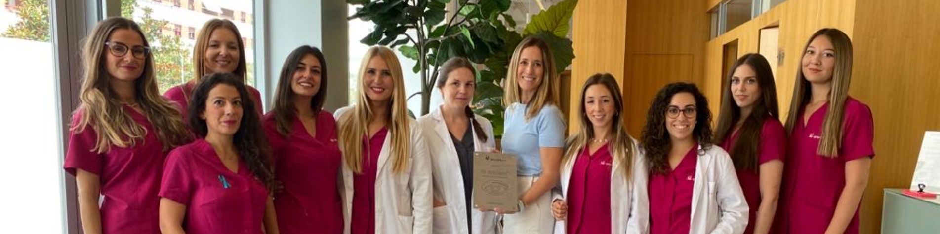 Sistema Witness - iFertility